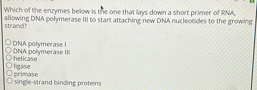 Solved: Which of the enzymes below is the one that lays down a short ...