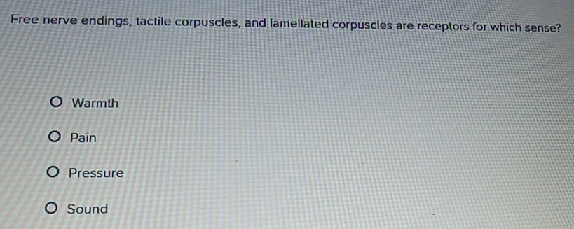 Solved: Free nerve endings, tactile corpuscles, and lamellated ...