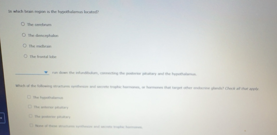 Solved: In which brain region is the hypothalamus located? The ...