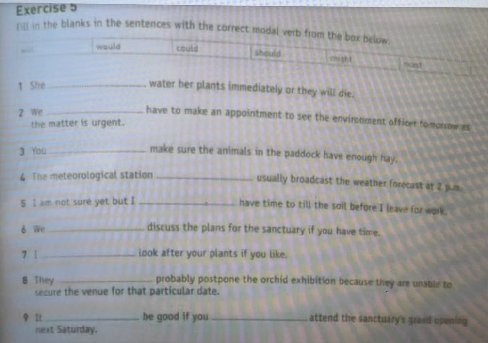 Solved: Fill in the blanks in the sentences with the correct modal verb ...
