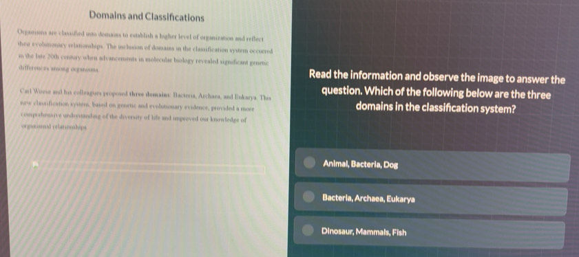 Solved: Domains and Classifcations Organisms are classified into ...