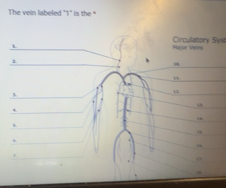 Gelöst:The vein labeled "1" is the * Circulatory Syst 1. Major Veins 2 ...