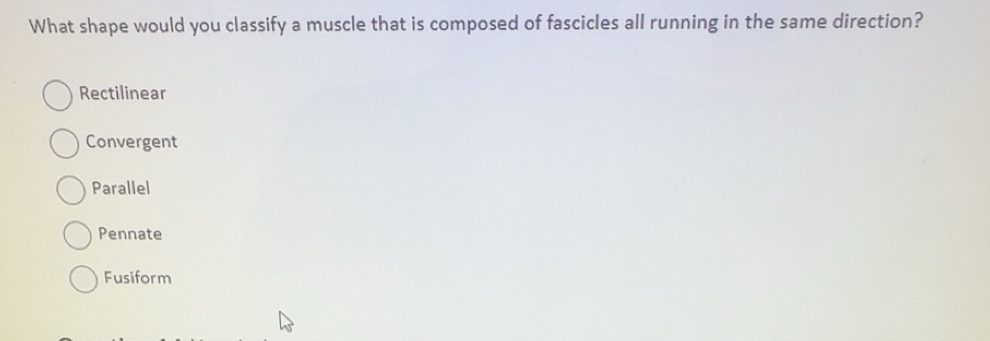 Solved: What shape would you classify a muscle that is composed of ...