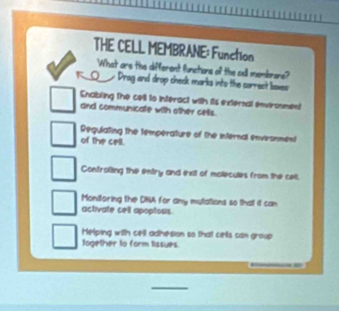 Solved: THE CELL MEMBRANE: Function What are the different functions of ...