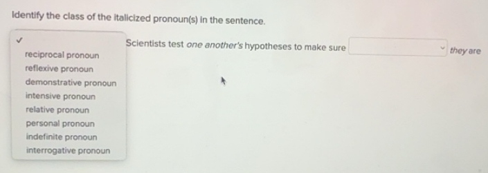 Solved: Identify the class of the italicized pronoun(s) in the sentence ...