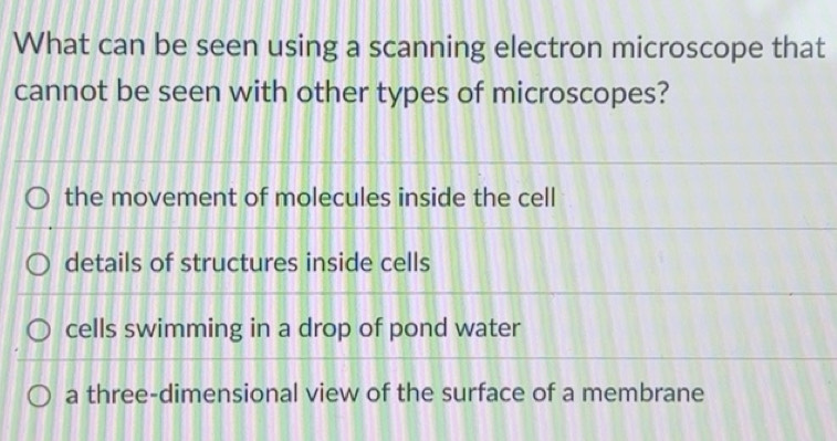Solved: What can be seen using a scanning electron microscope that ...