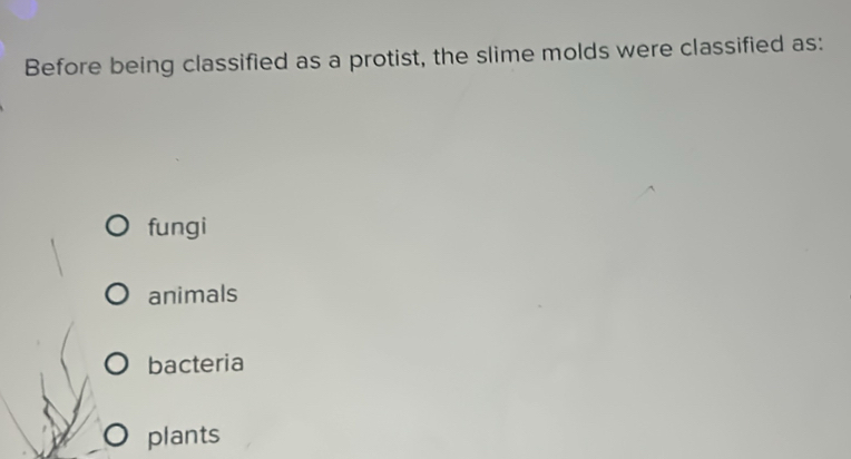 Solved: Before being classified as a protist, the slime molds were ...