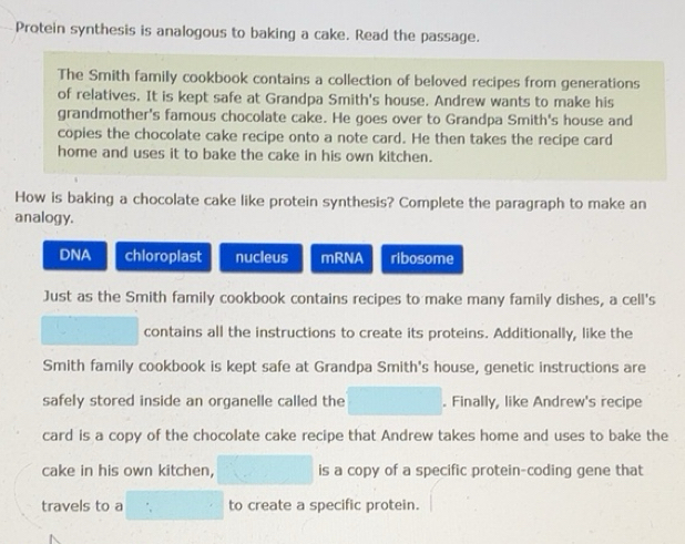 Solved: Protein synthesis is analogous to baking a cake. Read the ...