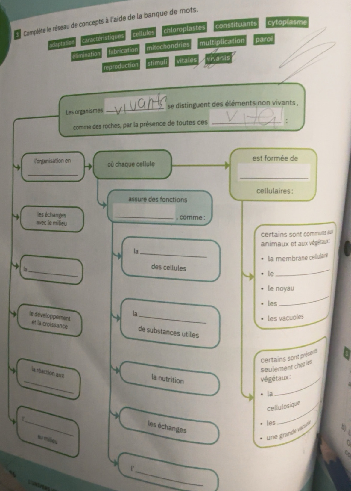 Solved: Complète le réseau de concepts à l'aide de la banque de mots ...