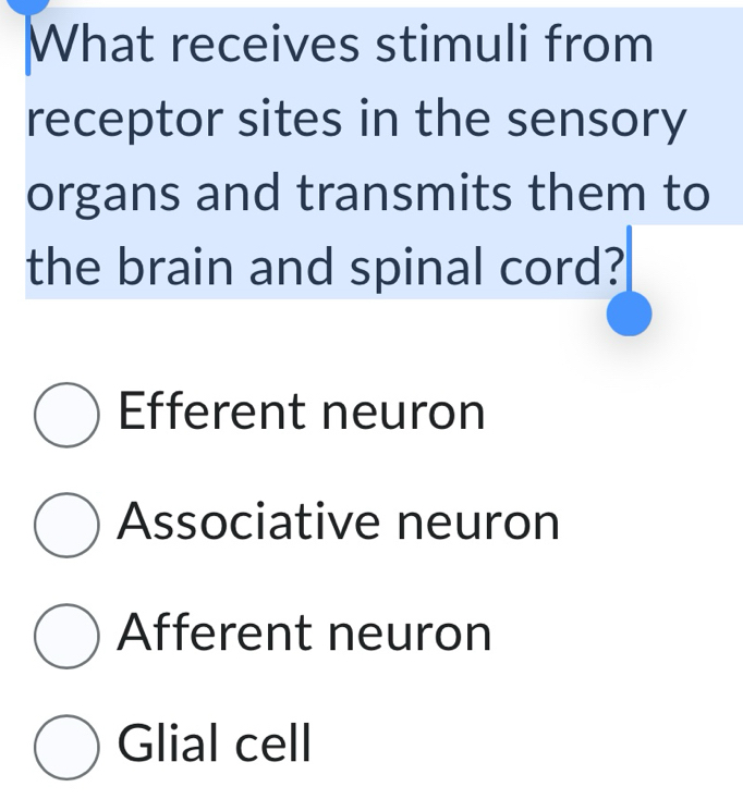 Solved: What receives stimuli from receptor sites in the sensory organs ...