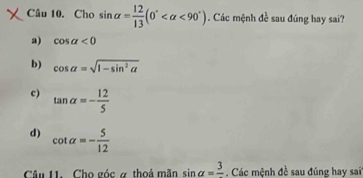 Giải quyết:Cho sin alpha = 12/13 (0°