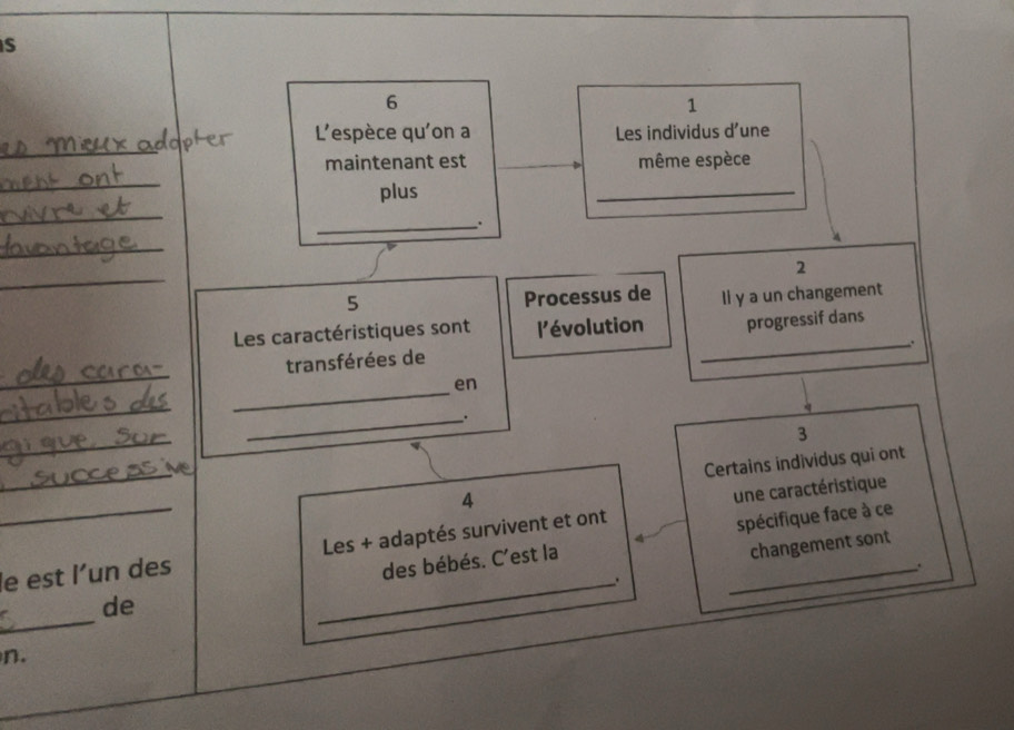 Solved: 6 1 _ L'espèce qu'on a Les individus d'une maintenant est même ...