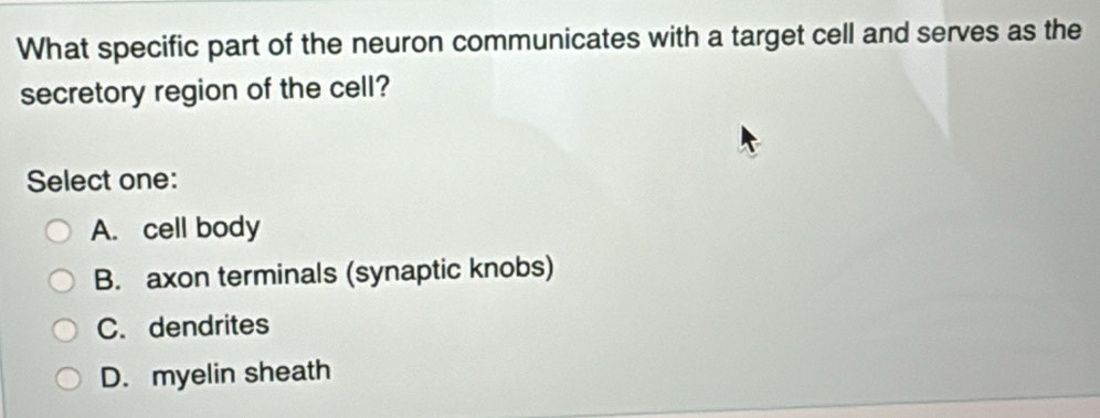 Solved: What specific part of the neuron communicates with a target ...