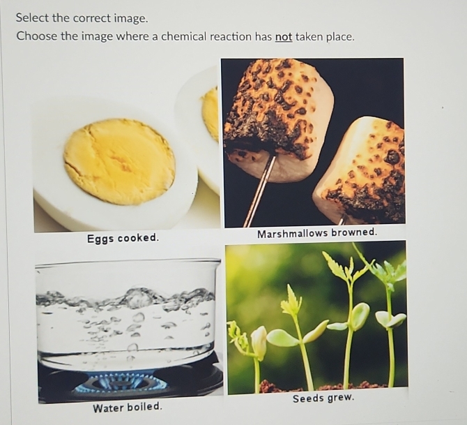 Solved: Select the correct image. Choose the image where a chemical ...