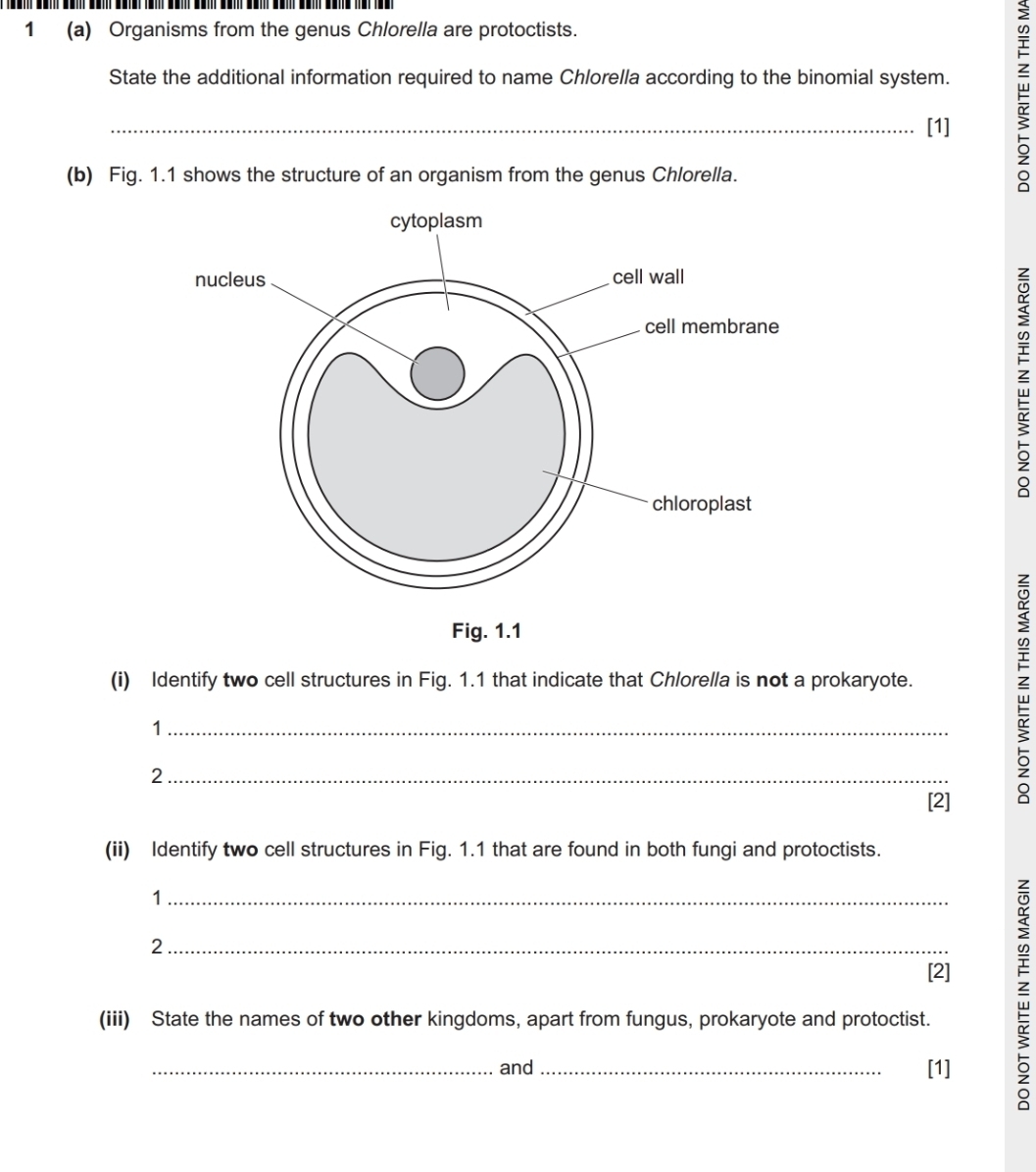 Selesai:1 (a) Organisms from the genus Chlorella are protoctists. State ...