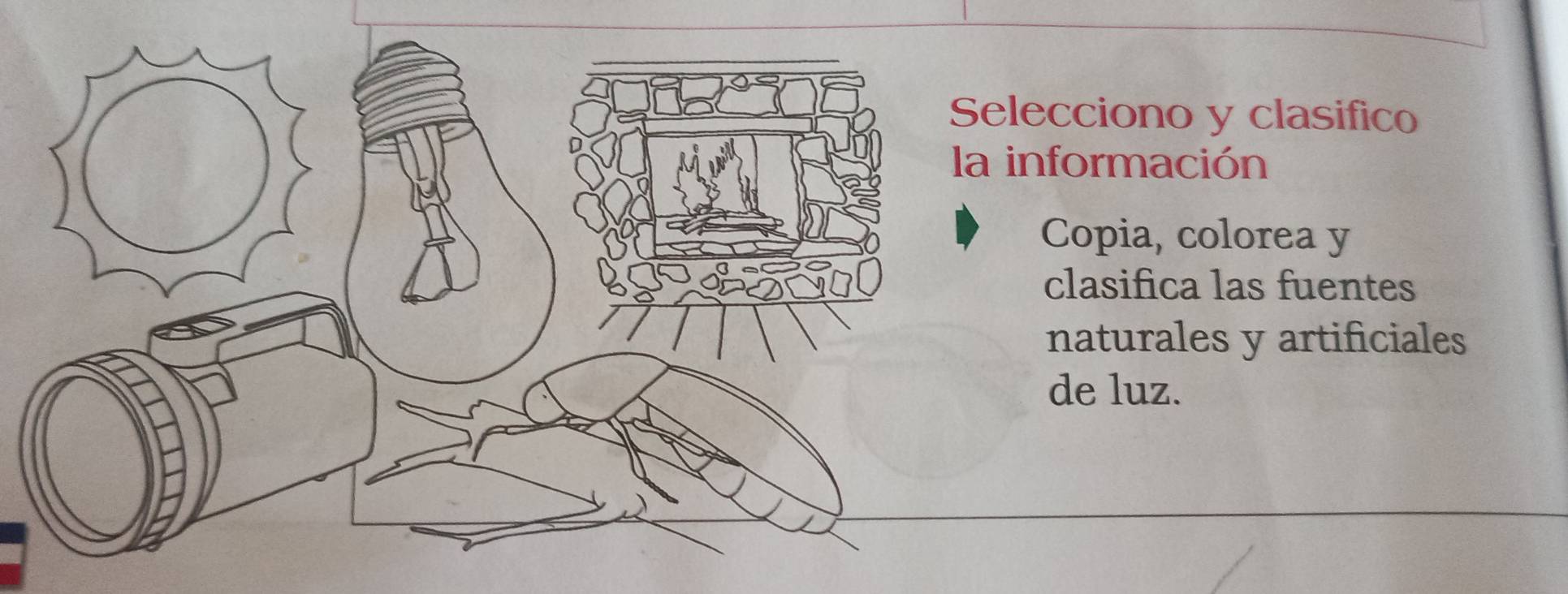 Resuelto:lecciono y clasifico información Copia, colorea y clasifica ...