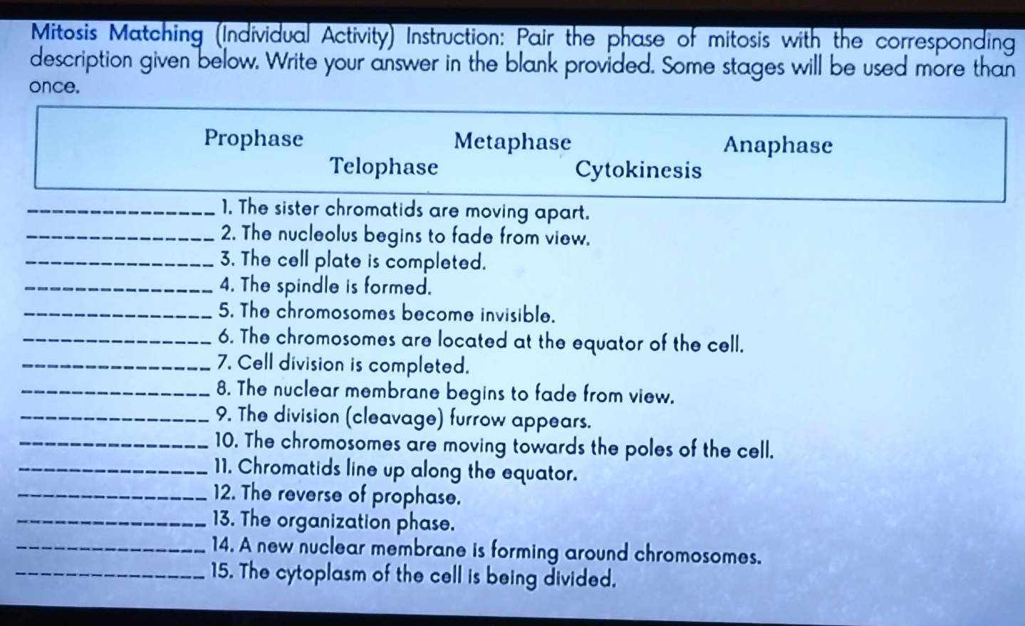Solved: Mitosis Matching (Individual Activity) Instruction: Pair the ...