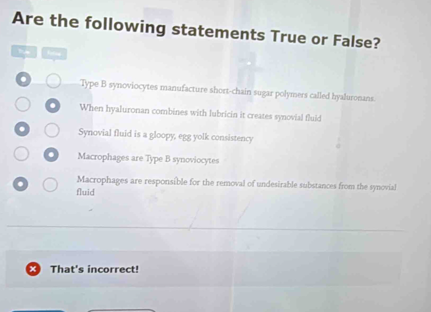 Solved: Are the following statements True or False? . Type B ...
