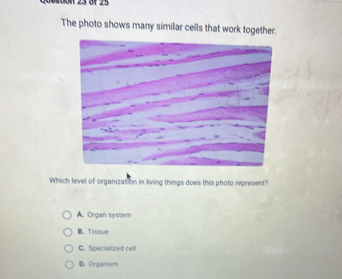 Solved: destion 23 of 25 The photo shows many similar cells that work ...