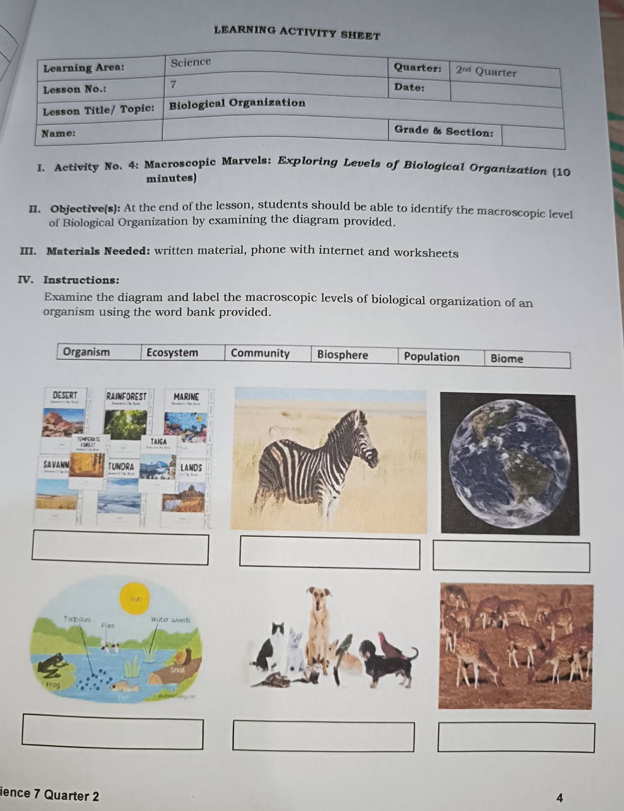 Solved: LEARNING ACTIVITY SHEET I. Activity No. 4: Macroscopic Marvels ...