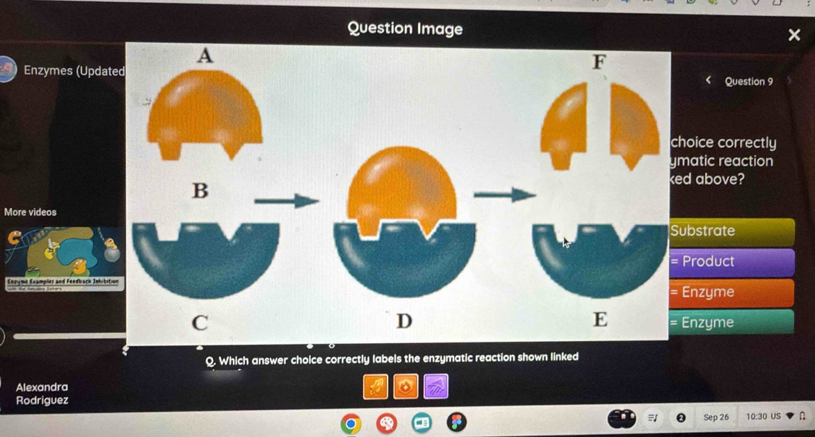 Solved: Question Image × Enzymes (UpdQuestion 9 ice correctly tic ...