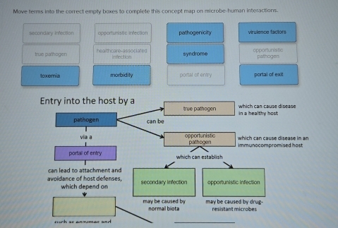 Solved: Move terms into the correct empty boxes to complete this ...