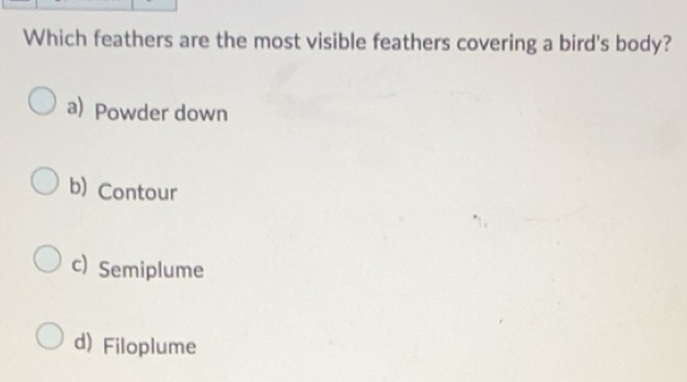 Solved: Which feathers are the most visible feathers covering a bird's ...