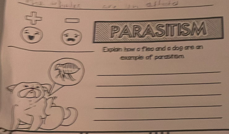 Solved: PARASITISM Explain how a flea and a dog are an example of ...