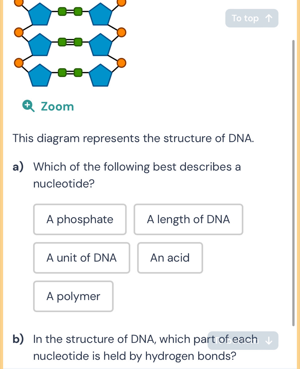 Solved: To top Zoom This diagram represents the structure of DNA. a) Which of the following best ...