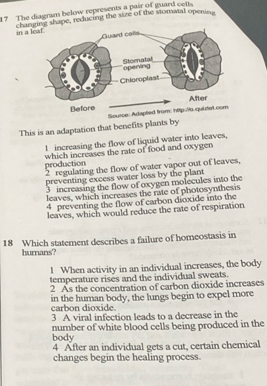 Solved: The diagram below represents a pair of guard cells changing ...