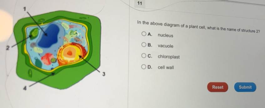 Solved: In the above diagram of a plant cell, what is the name of ...