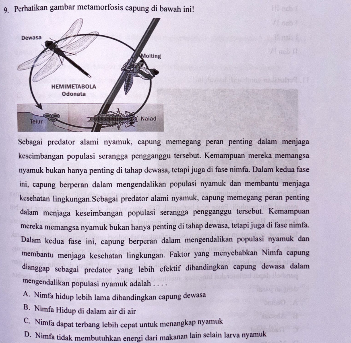 Telah dijawab:Perhatikan gambar metamorfosis capung di bawah ini! H mb ...