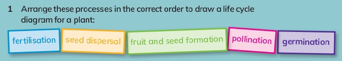 Solved: Arrange these processes in the correct order to draw a life cycle diagram for a plant ...