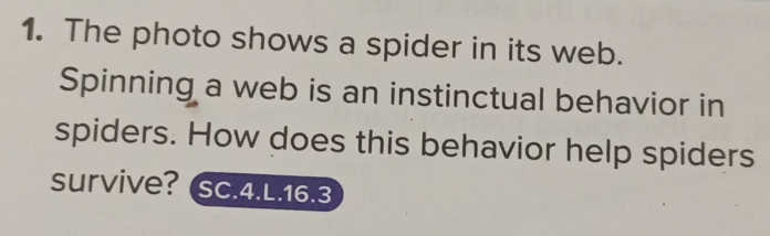 Solved: The photo shows a spider in its web. Spinning a web is an ...