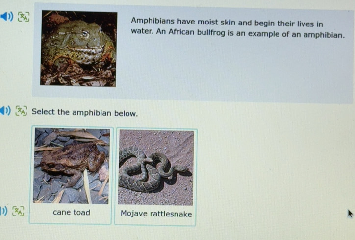 Gelöst:Amphibians have moist skin and begin their lives in water. An ...
