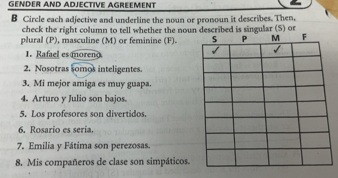 Gelöst:GENDER AND ADJECTIVE AGREEMENT B Circle each adjective and ...