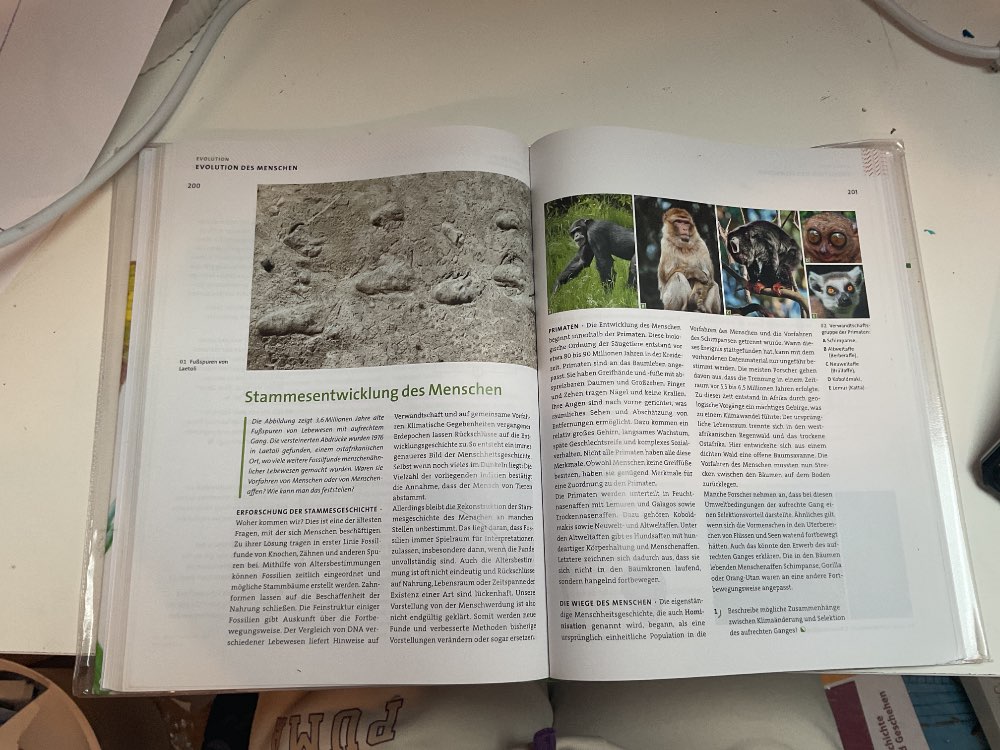 Gelöst:evolutióEVOLUTION 200 EMATEN · Die Entwicklung des Menschen ...