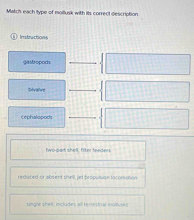Solved: Match each type of mollusk with its correct description ...