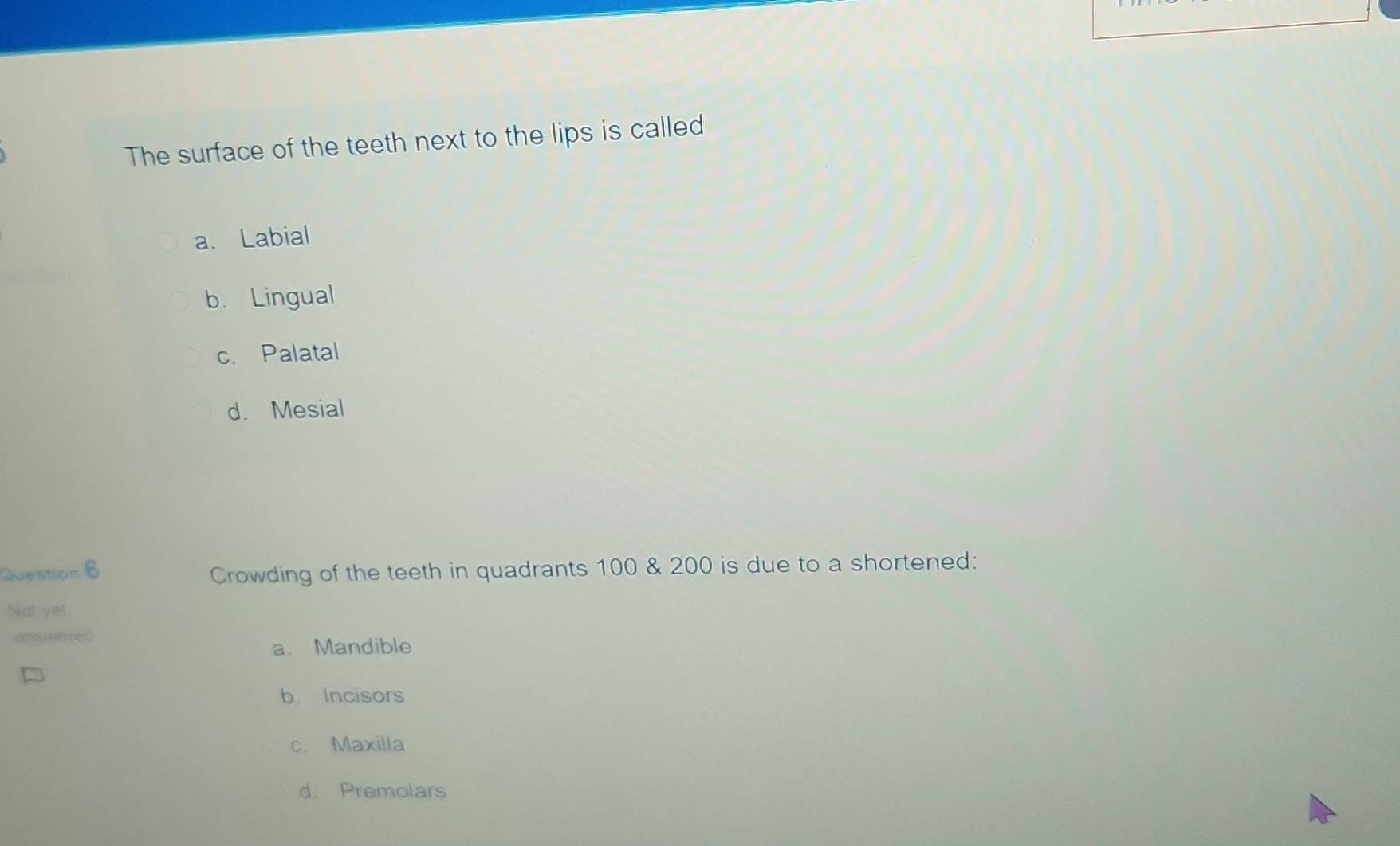 Solved: The surface of the teeth next to the lips is called a. Labial b ...