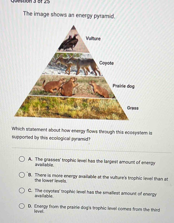 Solved: The image shows an energy pyramid. Which statement about how ...