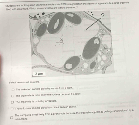 Solved: Students are looking at an unknown sample under 2000x ...