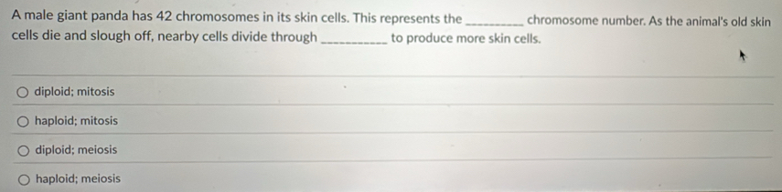 Solved: A male giant panda has 42 chromosomes in its skin cells. This ...
