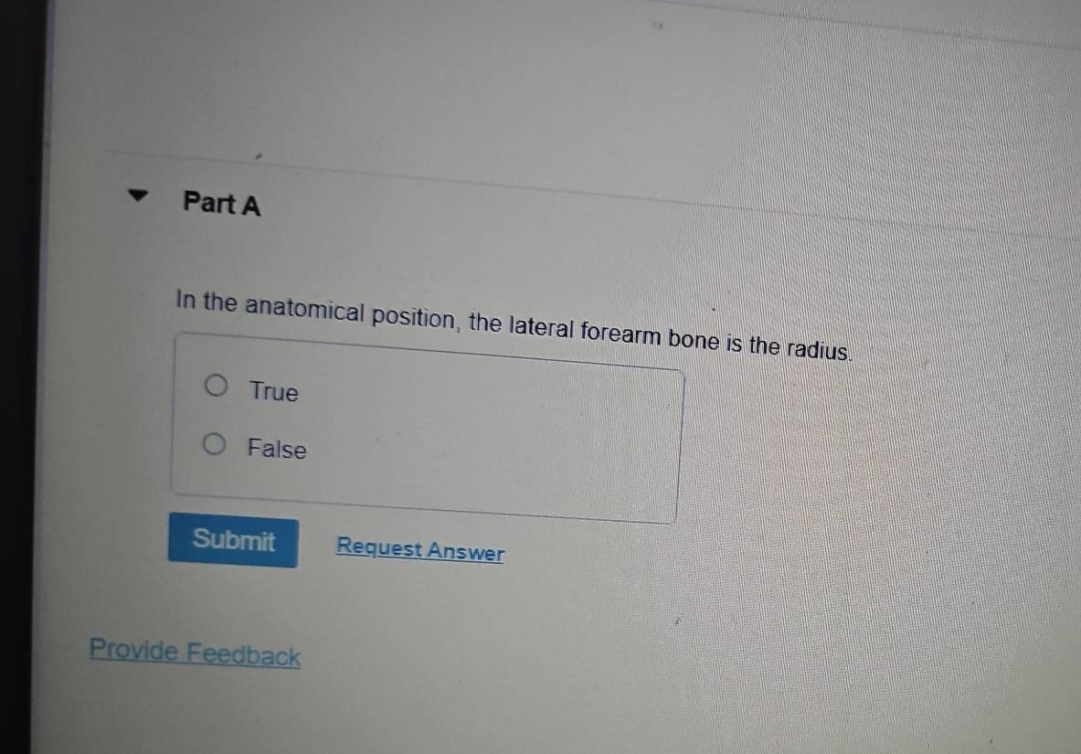 Solved: In the anatomical position, the lateral forearm bone is the radius. True False Submit ...
