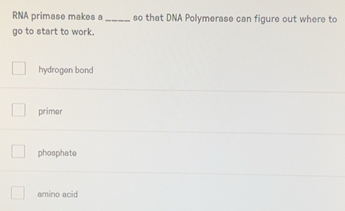 Solved: RNA primase makes a _so that DNA Polymerase can figure out ...