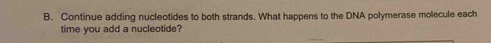 Solved: Continue adding nucleotides to both strands. What happens to ...