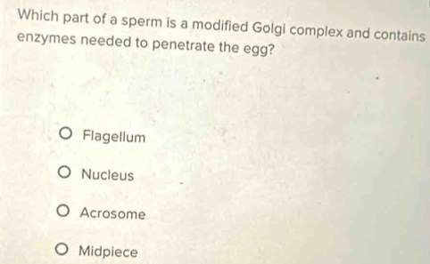 Solved: Which part of a sperm is a modified Golgi complex and contains ...