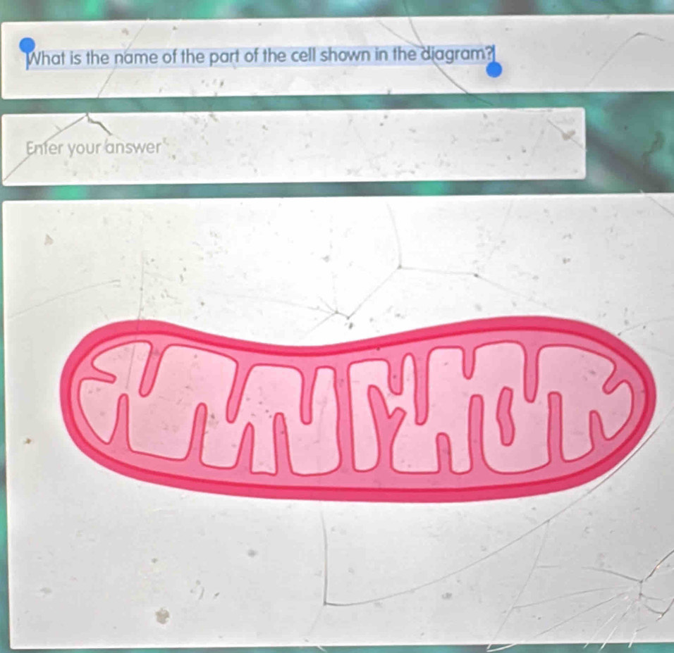 Solved: What is the name of the part of the cell shown in the diagram? Enter your answer GUMUTIA ...