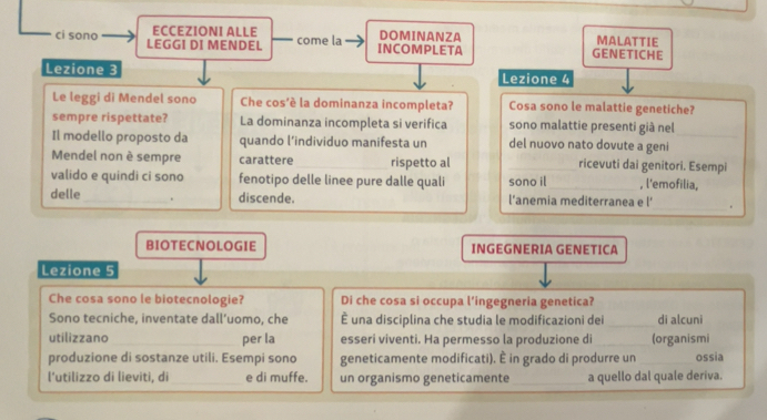 Risolto:ECCEZIONI ALLE come la DOMINANZA MALATTIE ci sono LEGGI DI ...