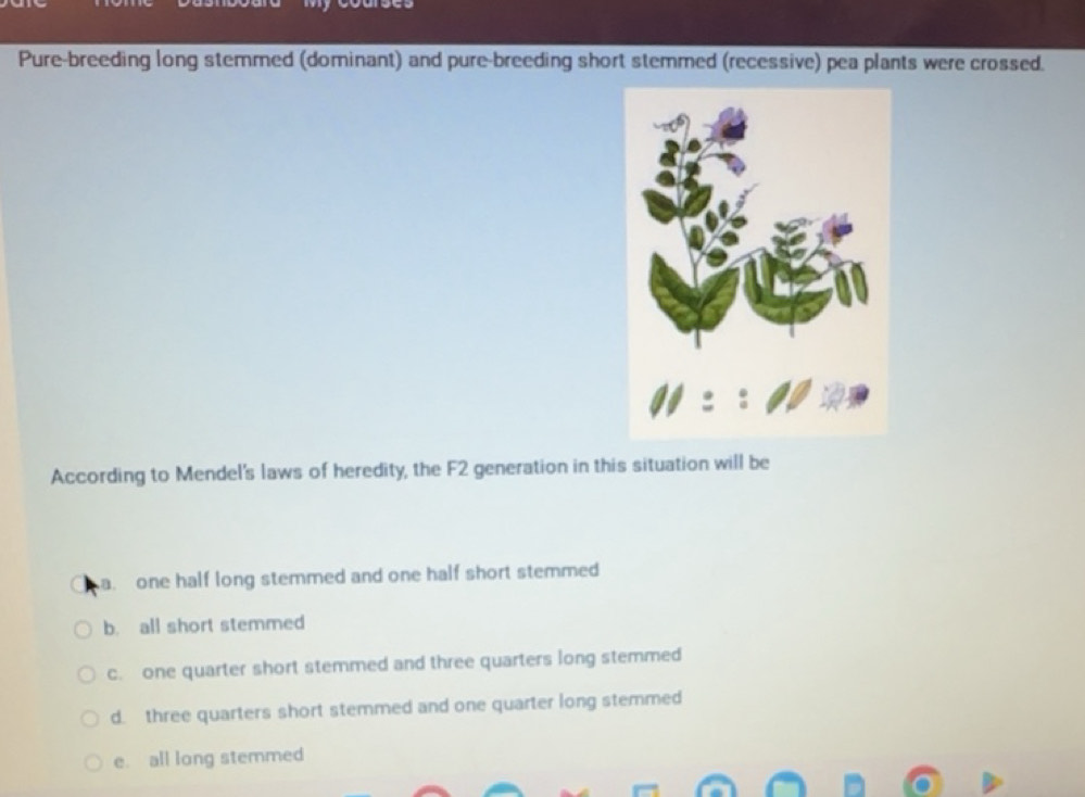 Solved: Pure-breeding long stemmed (dominant) and pure-breeding short ...