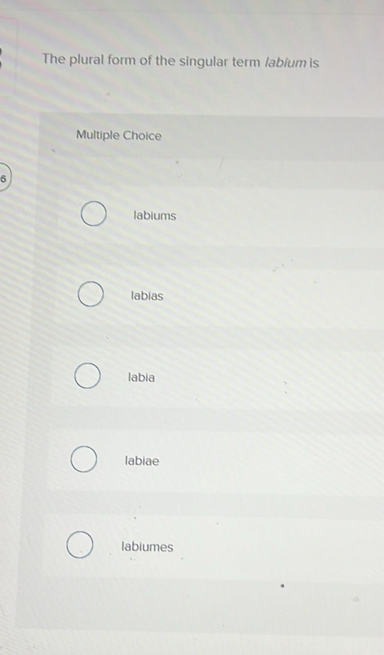 Solved: The plural form of the singular term labium is Multiple Choice ...